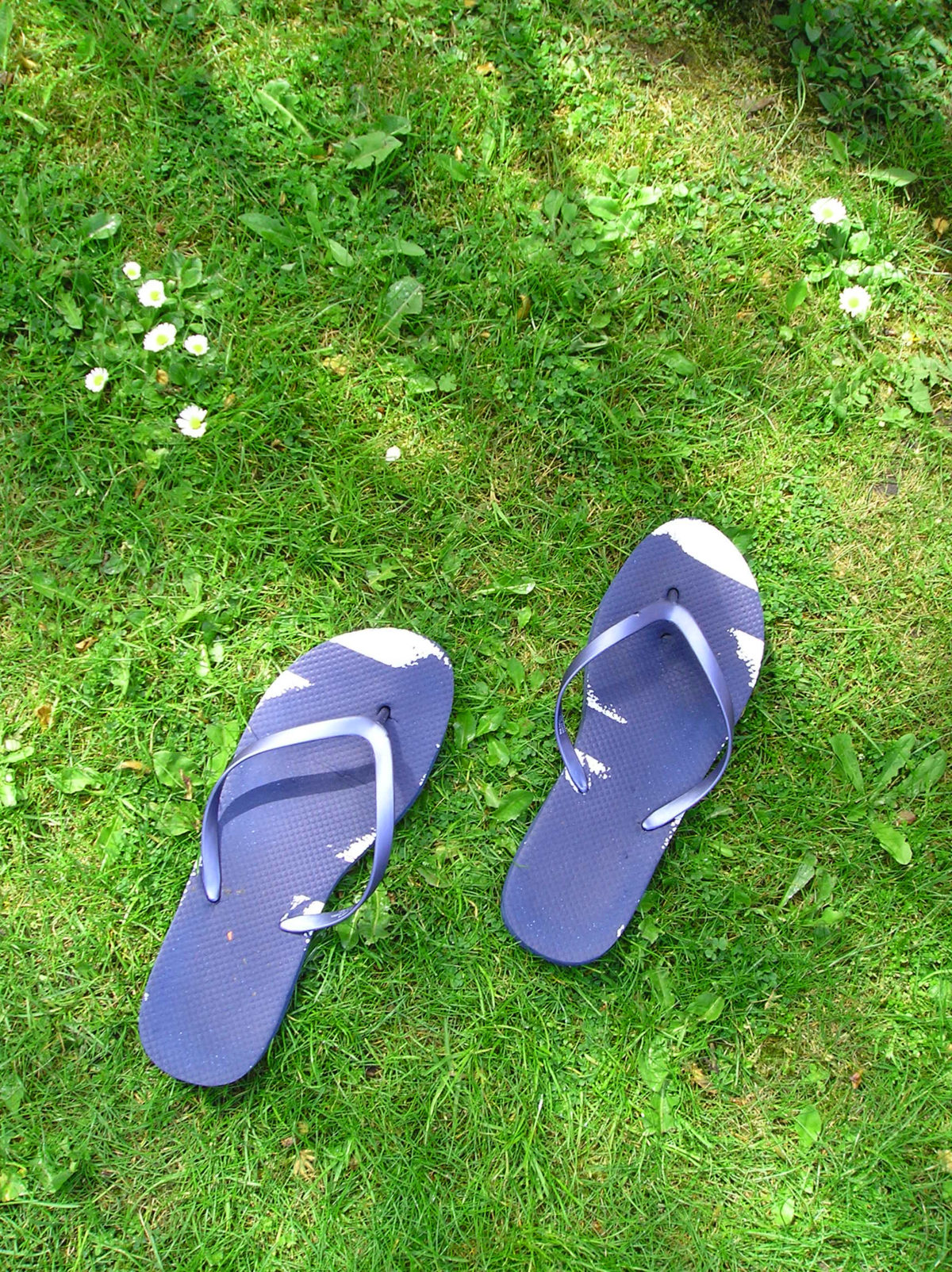 Steps forward to a better life